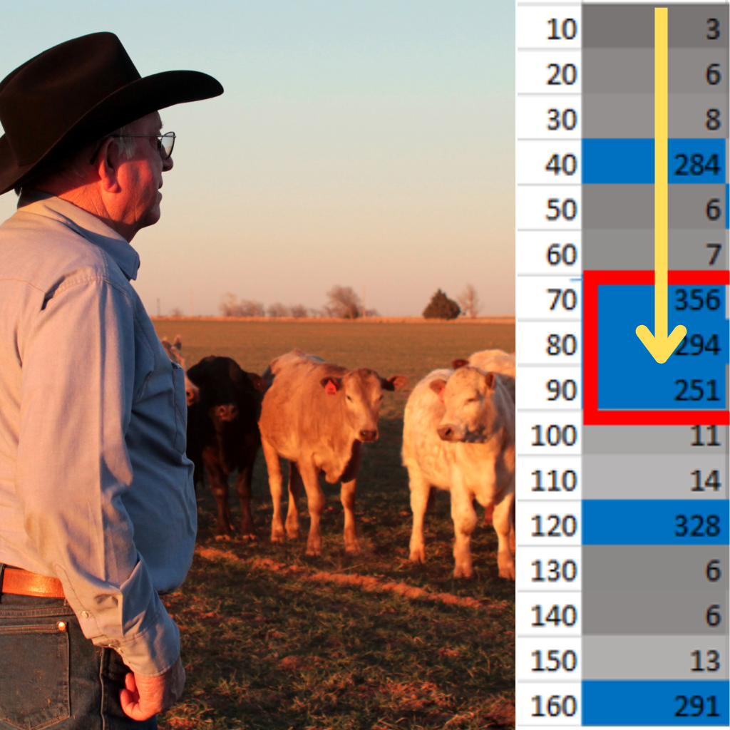 Know Water Well Levels Before You Drill | Well Water Finders®